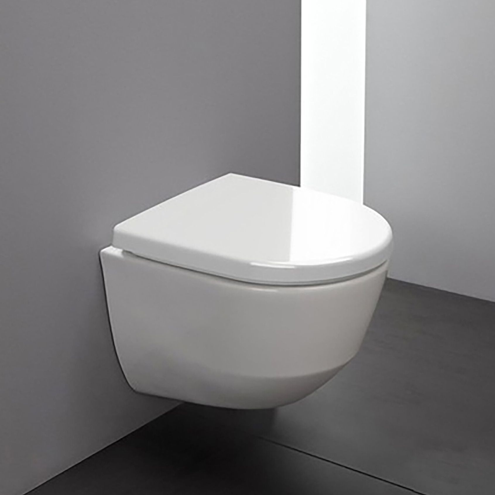 Pakabinamas unitazas Laufen Pro Rimless, baltas, H8209660000001 ...